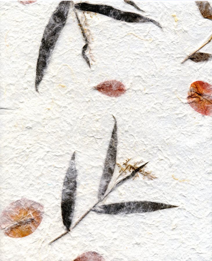 Orange Petal Handmade Paper Stock Photo - Image of mulberry, petals ...