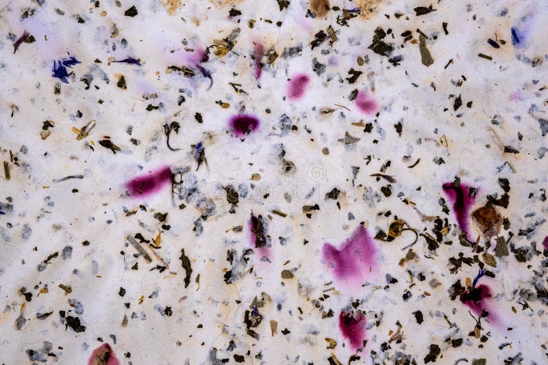 Handmade Paper with Dried Herbs Stock Photo - Image of herbs ...