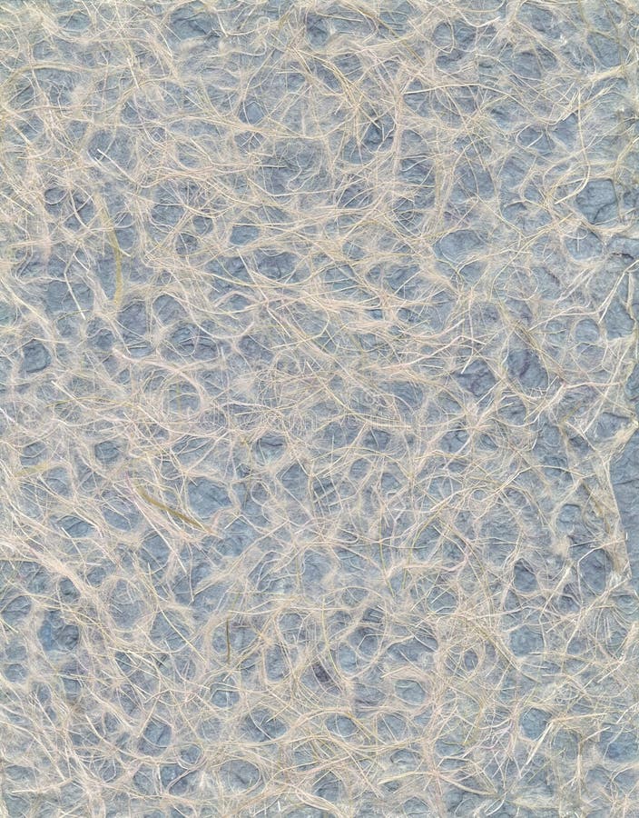 Minpin - Photographer profile