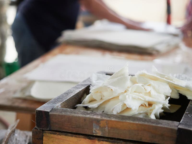 Handmade Paper Production Workshop Using Natural Vegetable Fibers ...