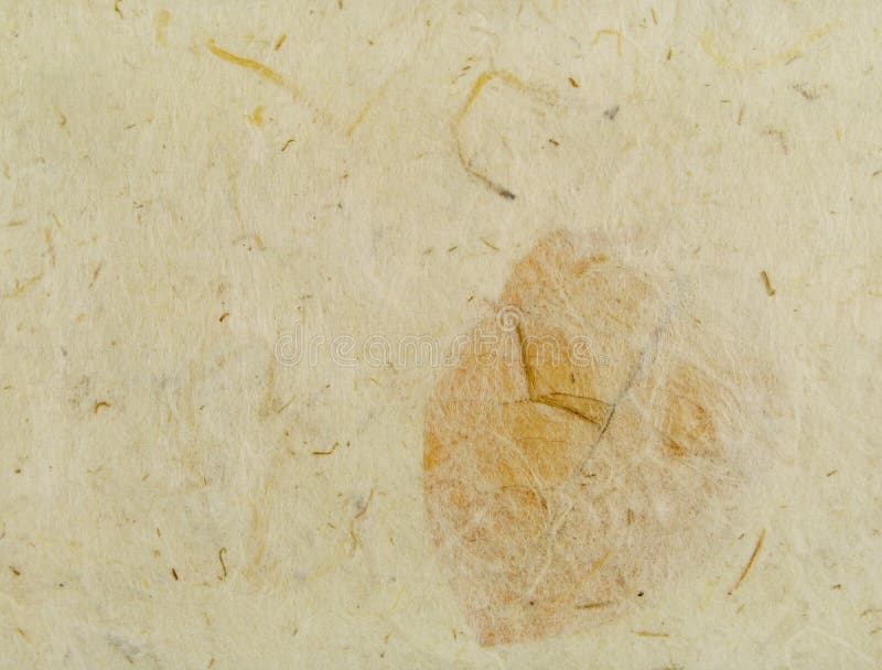 Handmade Paper Texture stock photo. Image of parchment - 8279942