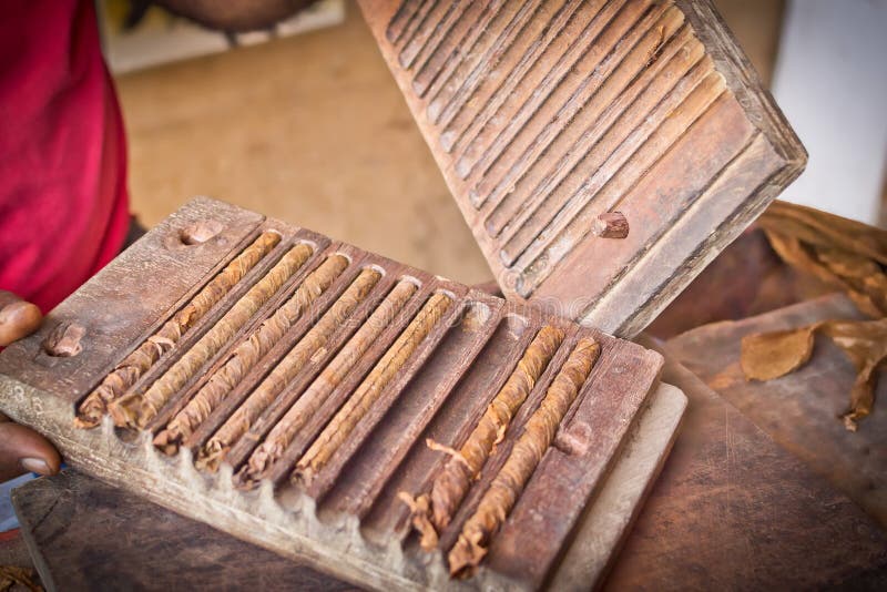 Handmade Production Process of Cigars Stock Photo - Image of business ...