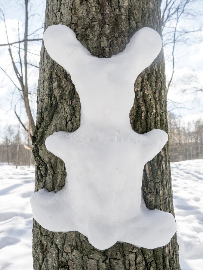Handmade Rabbit Made of White Snow on Bark of Tree Stock Photo - Image ...