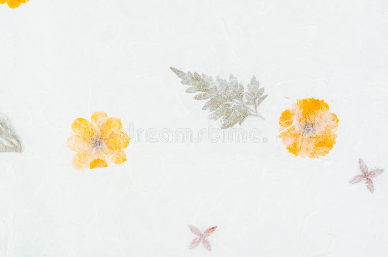 The Handmade Recycled Flower and Leaf Paper Background Stock Photo ...