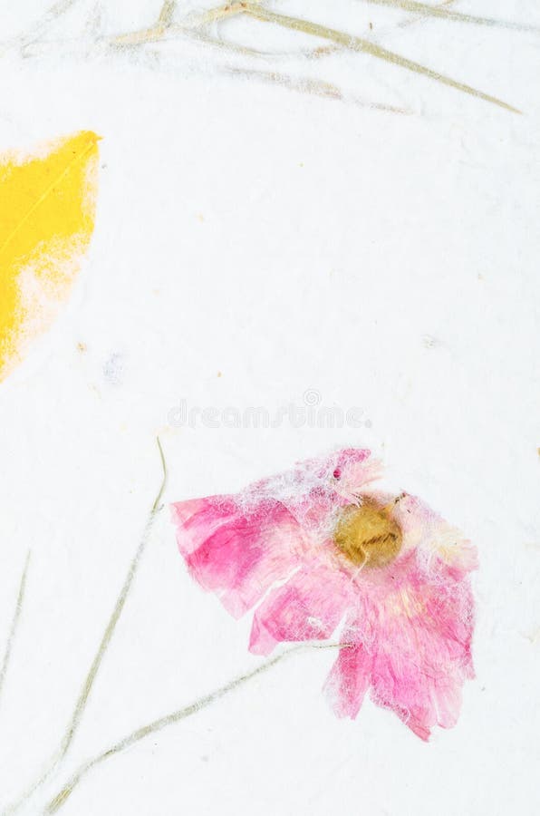The Handmade Recycled Flower and Leaf Paper Background Stock Photo ...