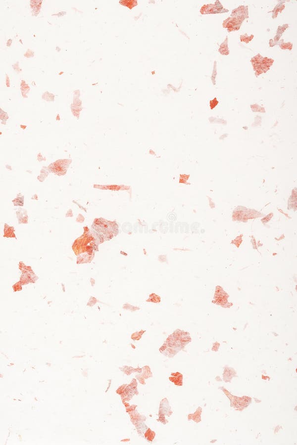 Handmade Recycled Flower and Leaf Paper Stock Photo - Image of handmade ...