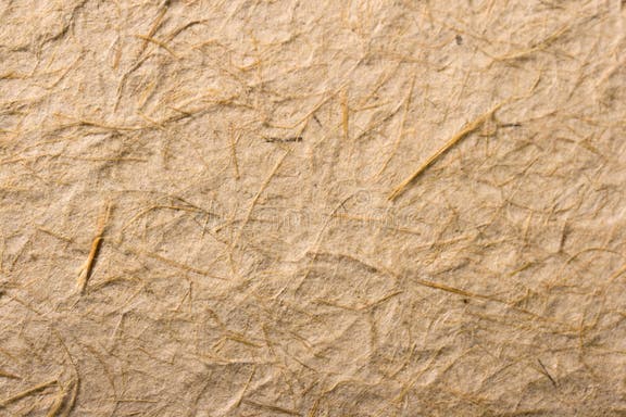 2,962 Old Rice Paper Texture Stock Photos - Free & Royalty-Free Stock ...