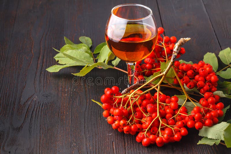 Handmade Rowan-vodka and Red Berries of Rowan Tree Stock Photo - Image ...