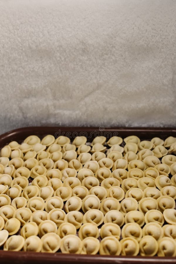 Handmade Sculpting Dumplings Laid Out on a Tray in the Freezer Stock ...