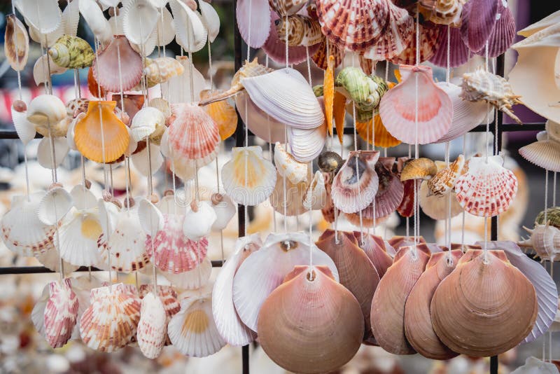 Handmade Souvenir Decorated with Different Sea Shells Stock Photo ...