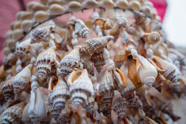 Handmade Souvenir Decorated with Different Sea Shells Stock Photo ...