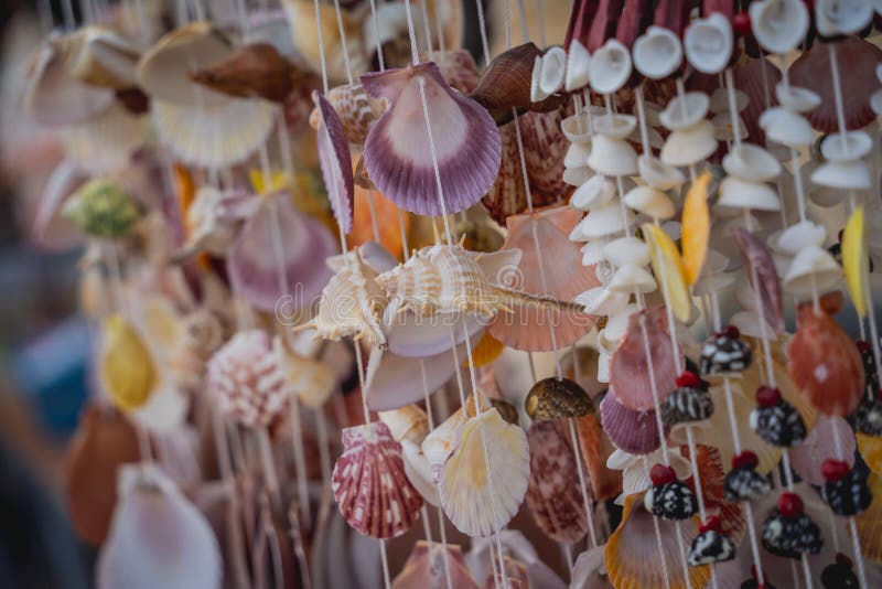 Handmade Souvenir Decorated with Different Sea Shells Stock Image ...