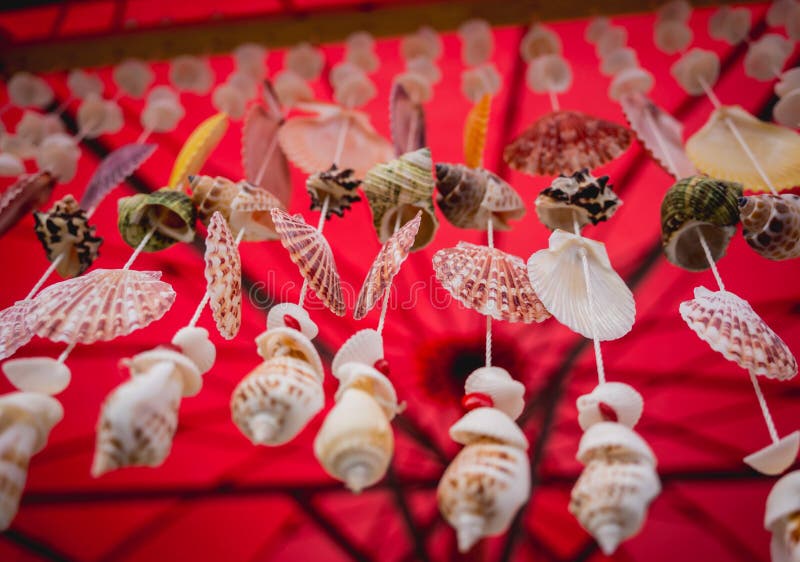 Handmade Souvenir Decorated with Different Sea Shells Stock Photo ...