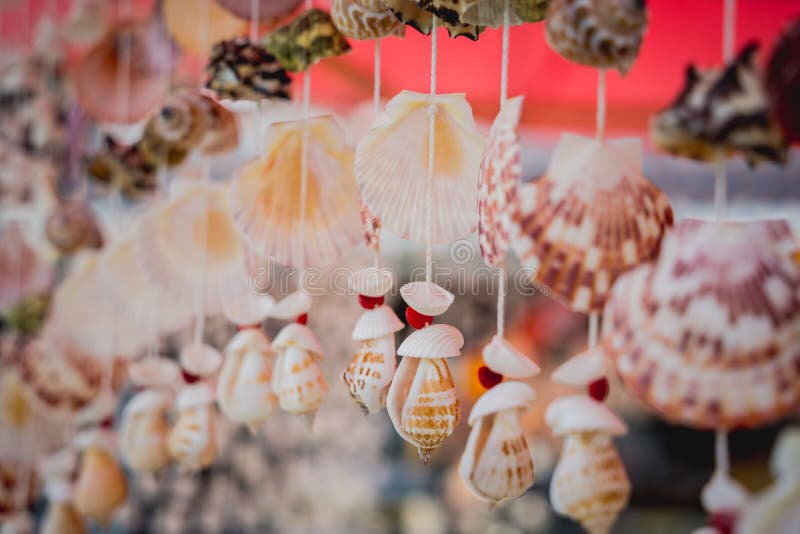 Handmade Souvenir Decorated with Different Sea Shells Stock Photo ...