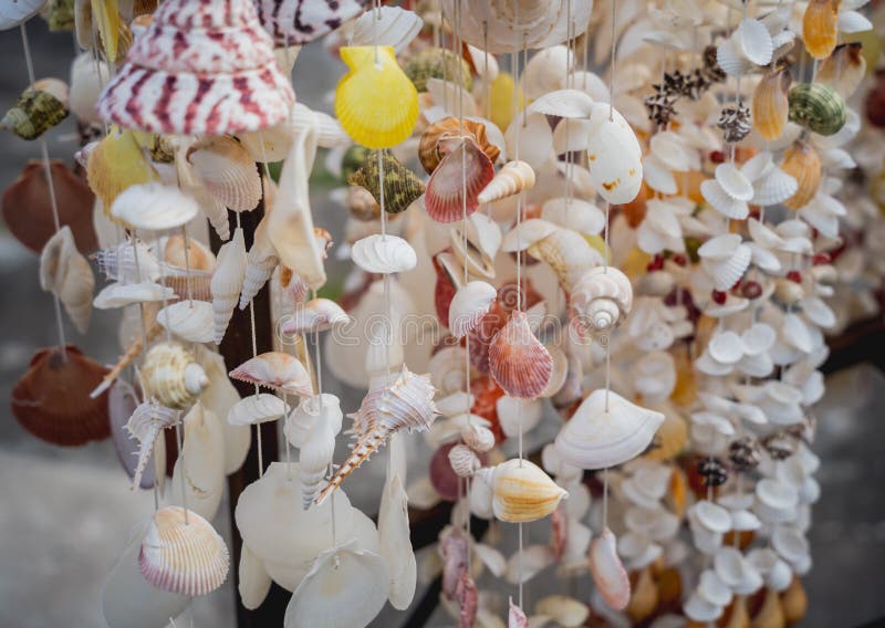 Handmade Souvenir Decorated with Different Sea Shells Stock Image ...