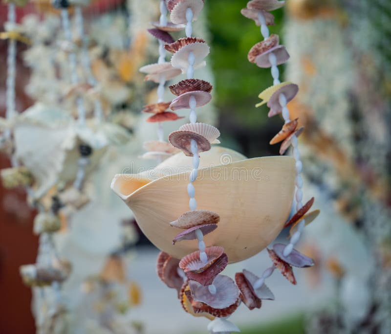 Handmade Souvenir Decorated with Different Sea Shells Stock Image ...