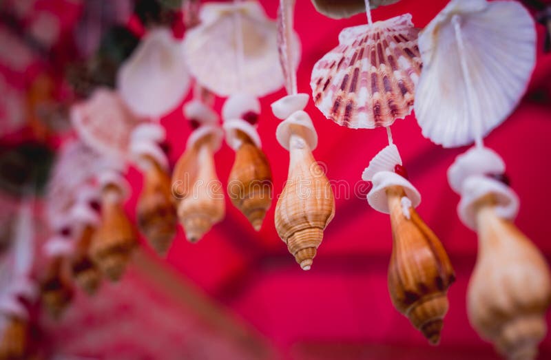 Handmade Souvenir Decorated with Different Sea Shells Stock Photo ...