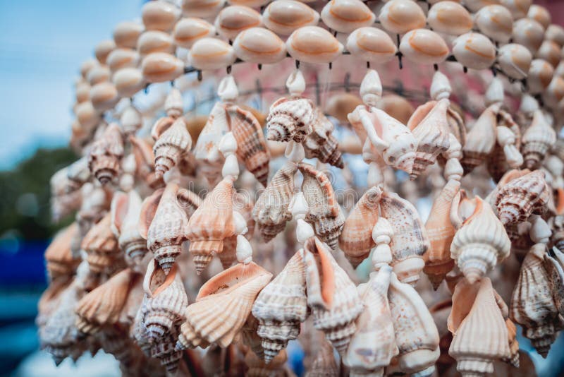 Handmade Souvenir Decorated with Different Sea Shells Stock Photo ...