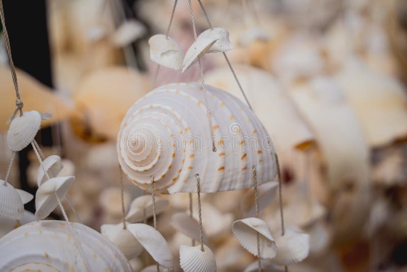 Handmade Souvenir Decorated with Different Sea Shells Stock Image ...