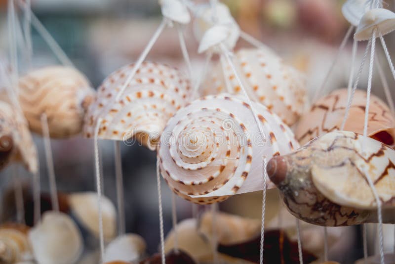 Handmade Souvenir Decorated with Different Sea Shells Stock Image ...