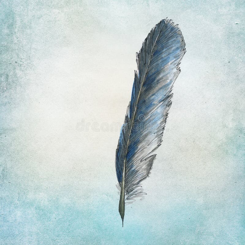 Raven Feather Drawing