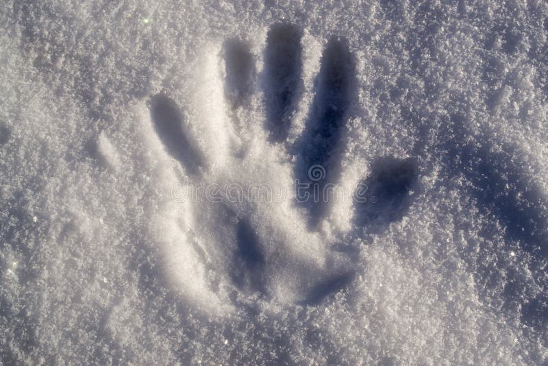 Handprint in Snow stock image. Image of print, handprint - 50175883