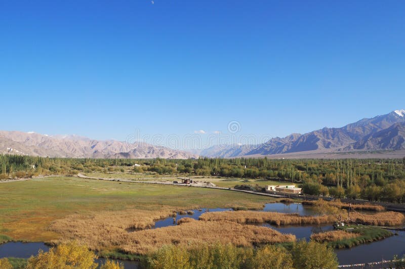 Handra Stock Photos - Free & Royalty-Free Stock Photos from Dreamstime