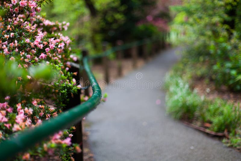 Handrail of walking path stock photo. Image of australia - 103039380