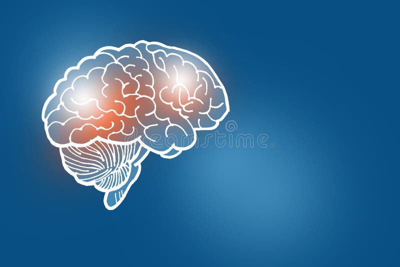 Handrawn Illustration of Human Brain on Dark Blue Background. Stock ...