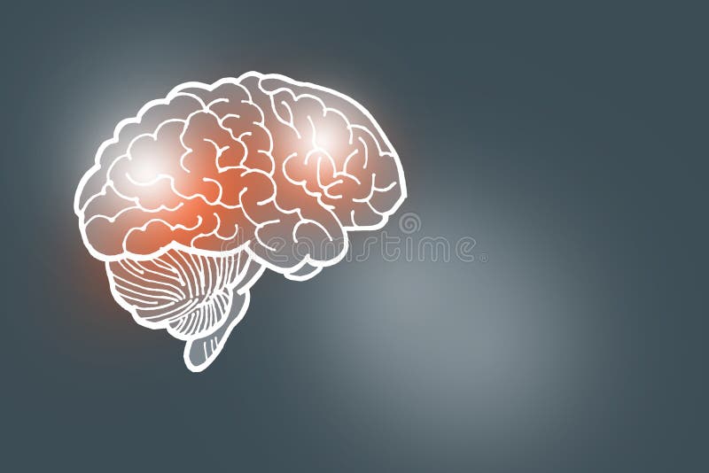 Handrawn Illustration of Human Brain on Dark Grey Background. Stock ...