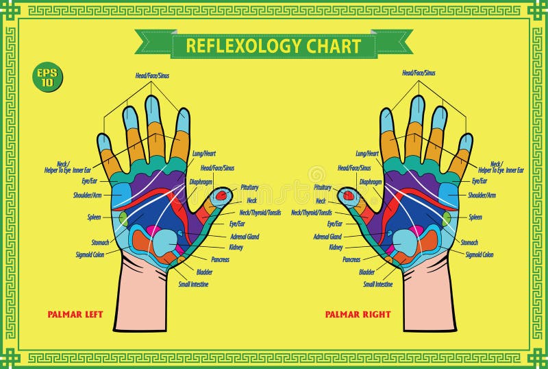 Handreflexzonendiagramm stock abbildung. Illustration von lungenflügel ...