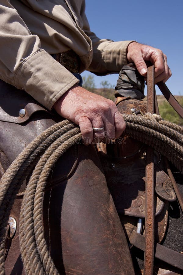 HandRope stock photo. Image of male, rodeo, rope, cowboy - 15090690