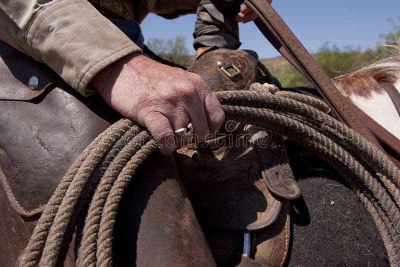 Rodeo Roper stock image. Image of cowboy, country, united - 7866093