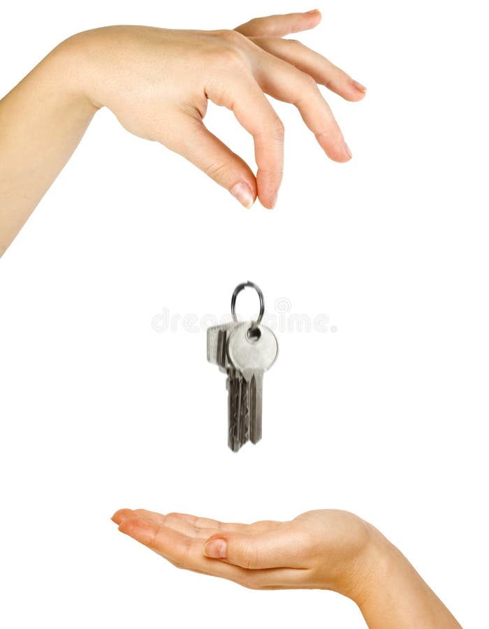 Hands Picture. Image: 17839076