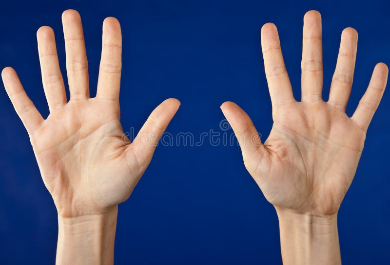 3,963 Two Hands Open Palms Stock Photos - Free & Royalty-Free Stock ...