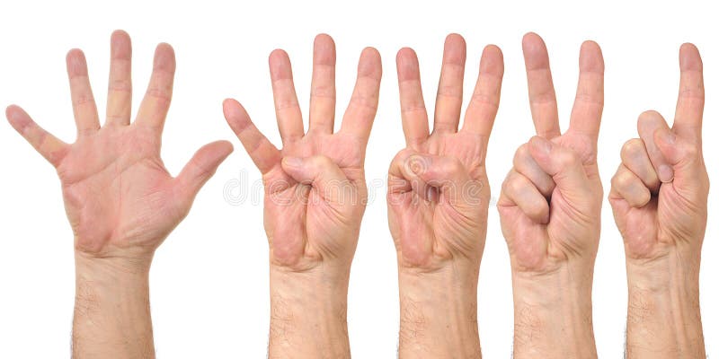Finger counting stock image. Image of hand, anatomy, pose - 13604877