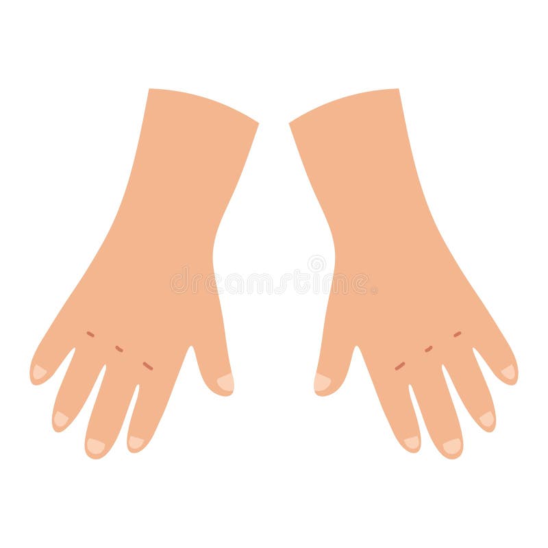 Body Parts in Cartoon Style - Arms. Right and Left Hands Front Side ...