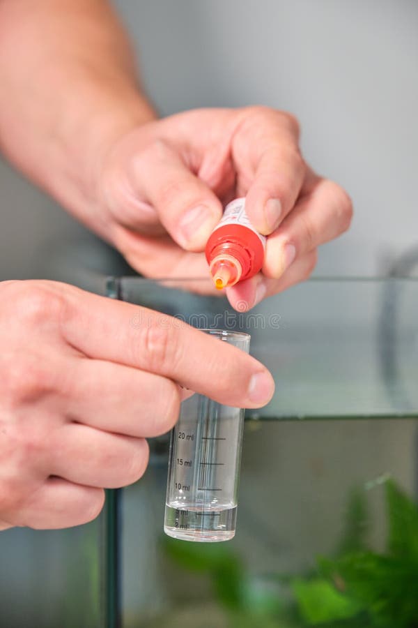 211 Adding Fish To Aquarium Stock Photos - Free & Royalty-Free Stock ...