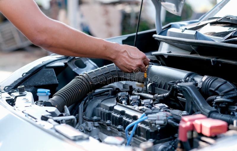 Car Mechanic Inspecting Engine Oil Level Stock Photo - Image of diesel ...