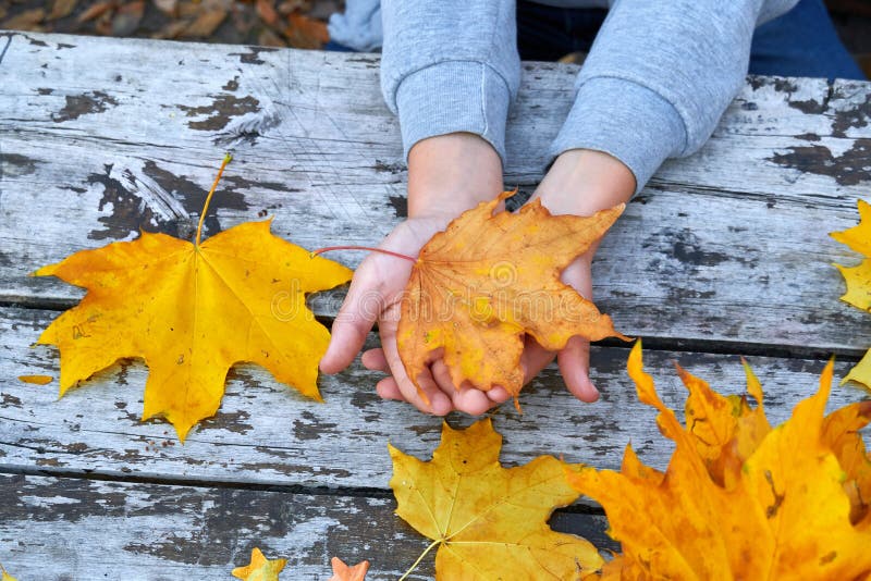 Hands with Autumn Leaves Over Wooden Background Stock Image - Image of ...