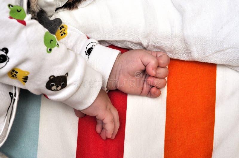 Hands Baby without Full Body View Stock Image - Image of child ...