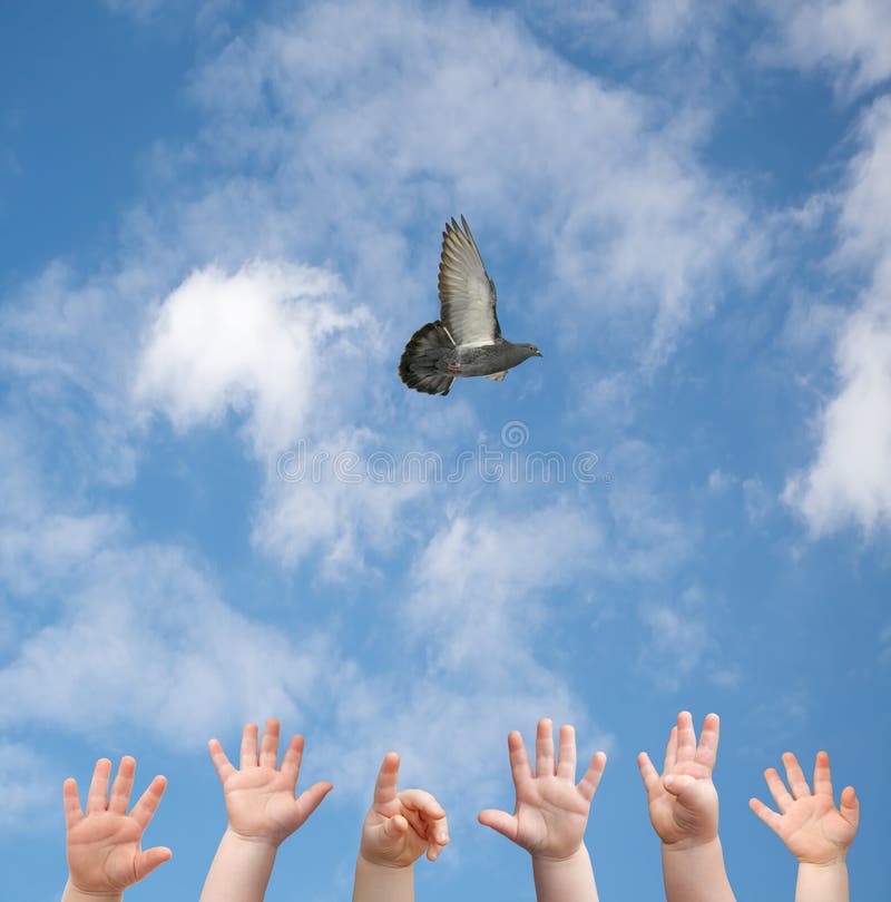 Hands and bird stock image. Image of away, finger, birthday - 89771849