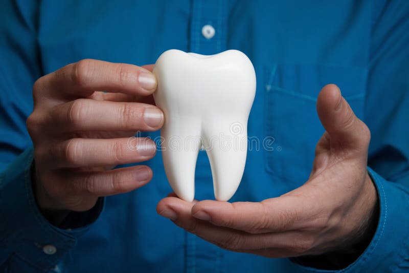 Hands in Blue Shirt Holding Large White Tooth on Blue Background Stock ...