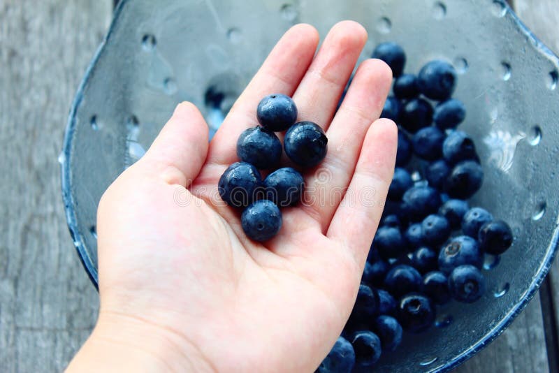 Hands with blueberry stock photo. Image of berry, organic - 25784494