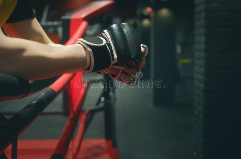 Hands in the Boxing Gloves. Stock Image - Image of champion, force ...