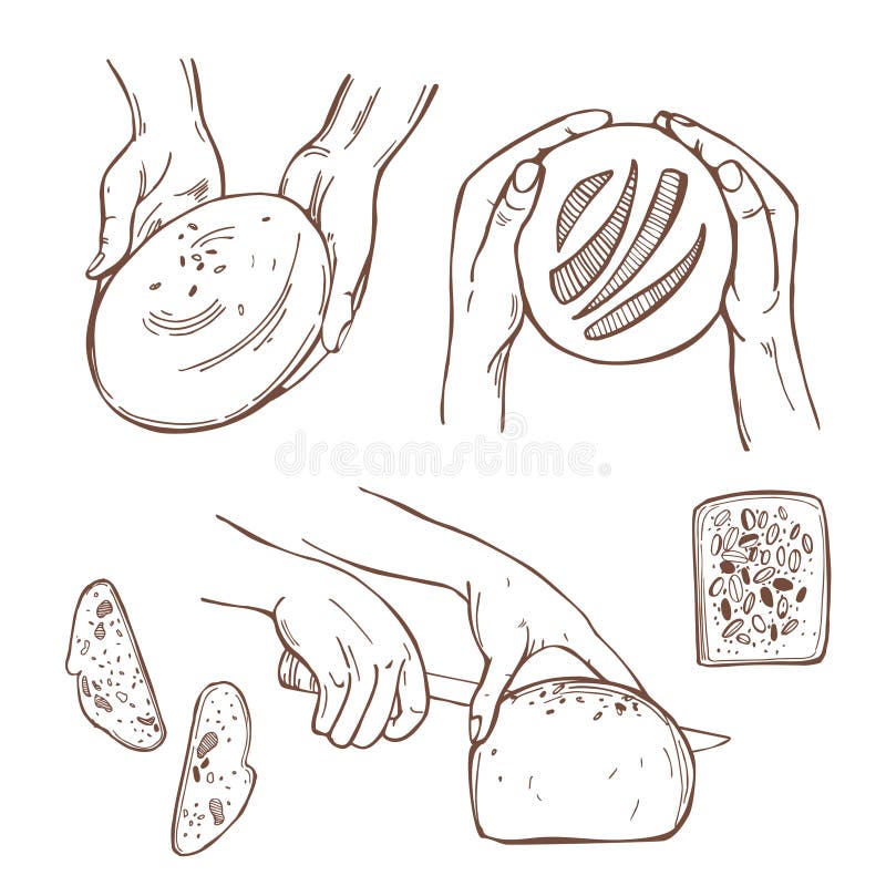 Hands and Bread. Sketch Illustration Stock Vector - Illustration of ...