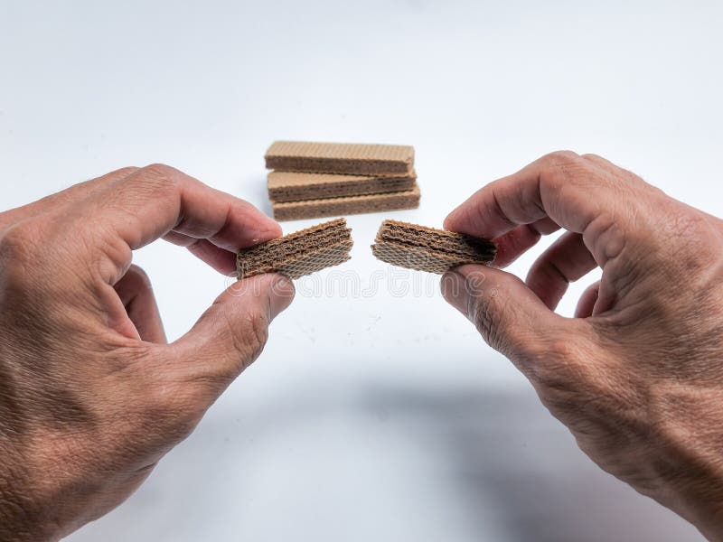 Hands Breaking a Wafer Cookie into Two Pieces on a White Background ...