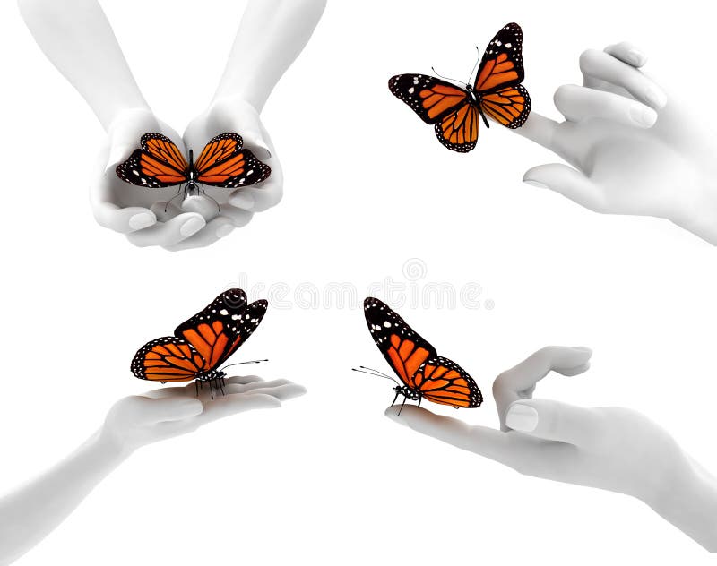 Hands with butterfly stock vector. Illustration of pattern - 23113760