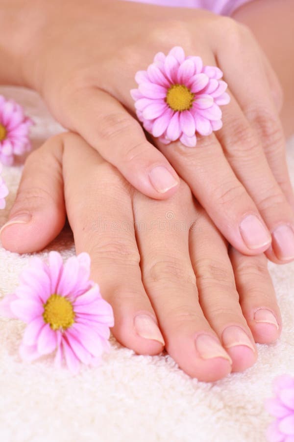 Hands care stock image. Image of girl, finger, polish - 1882453