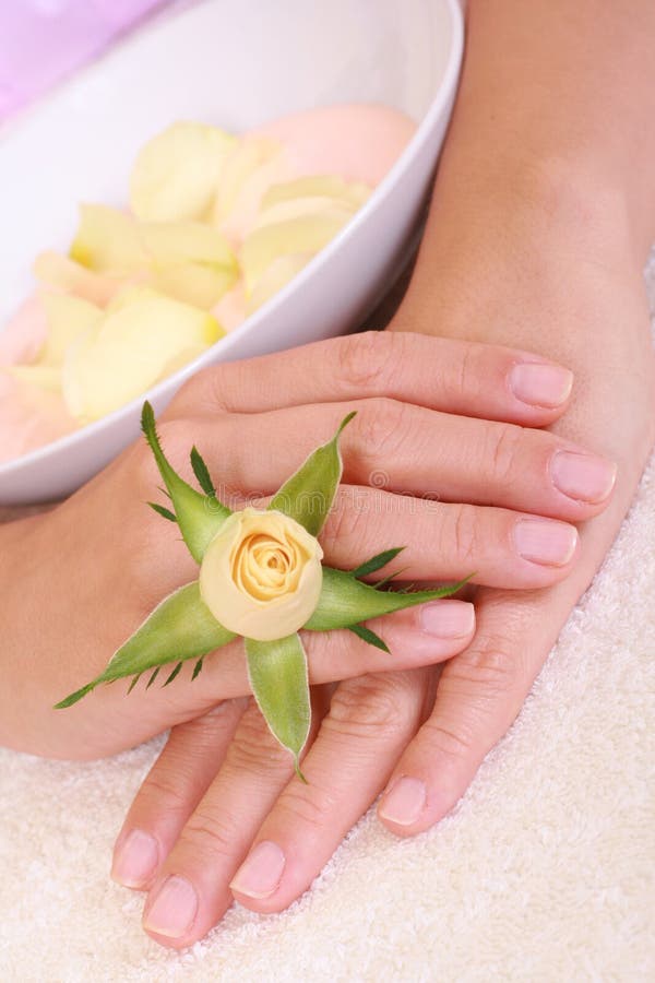 Hands care stock photo. Image of flowers, clean, rose - 1893808